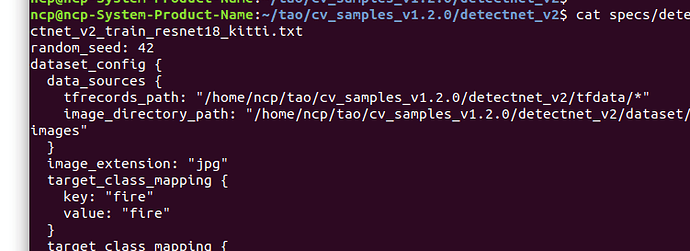 Error When Using Tao Tool To Train Detectnet V2 Detection Model TAO