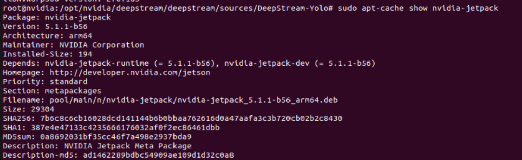 Deepstream6 2 配置sink插件通过rtsp输出url如何自定义 DeepStream SDK NVIDIA