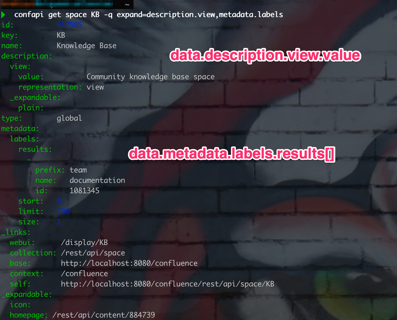 Issues obtaining specific properties of spaces and content via REST API - Confluence Server ...