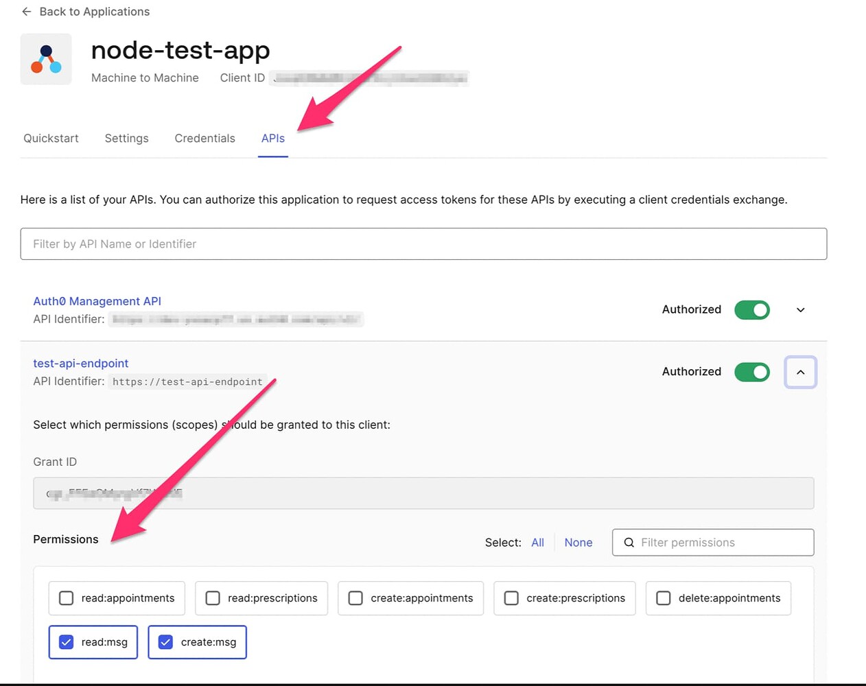Missing Api Permissions Or Scope In Access Token Auth0 Community