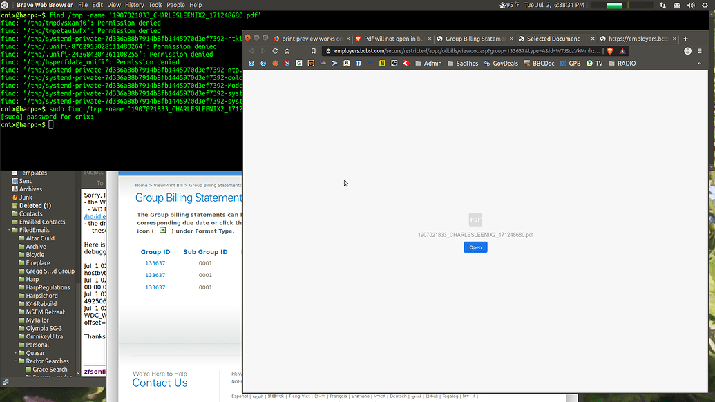 Pdf Will Not Open In Built In Viewer Desktop Support Brave Community