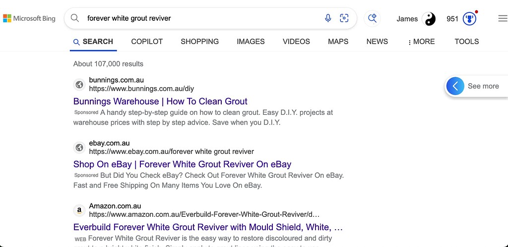 Bing Sponsored ads NOT Blocked - Ad-Blocking - Brave Community