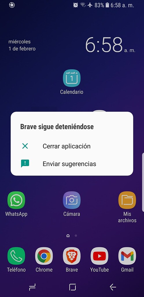 Problema entrando a la app - Mobile Support - Brave Community