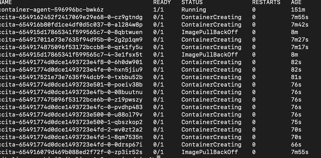 How To Debug Container Agent Failing On K8s Build Environment Circleci Discuss