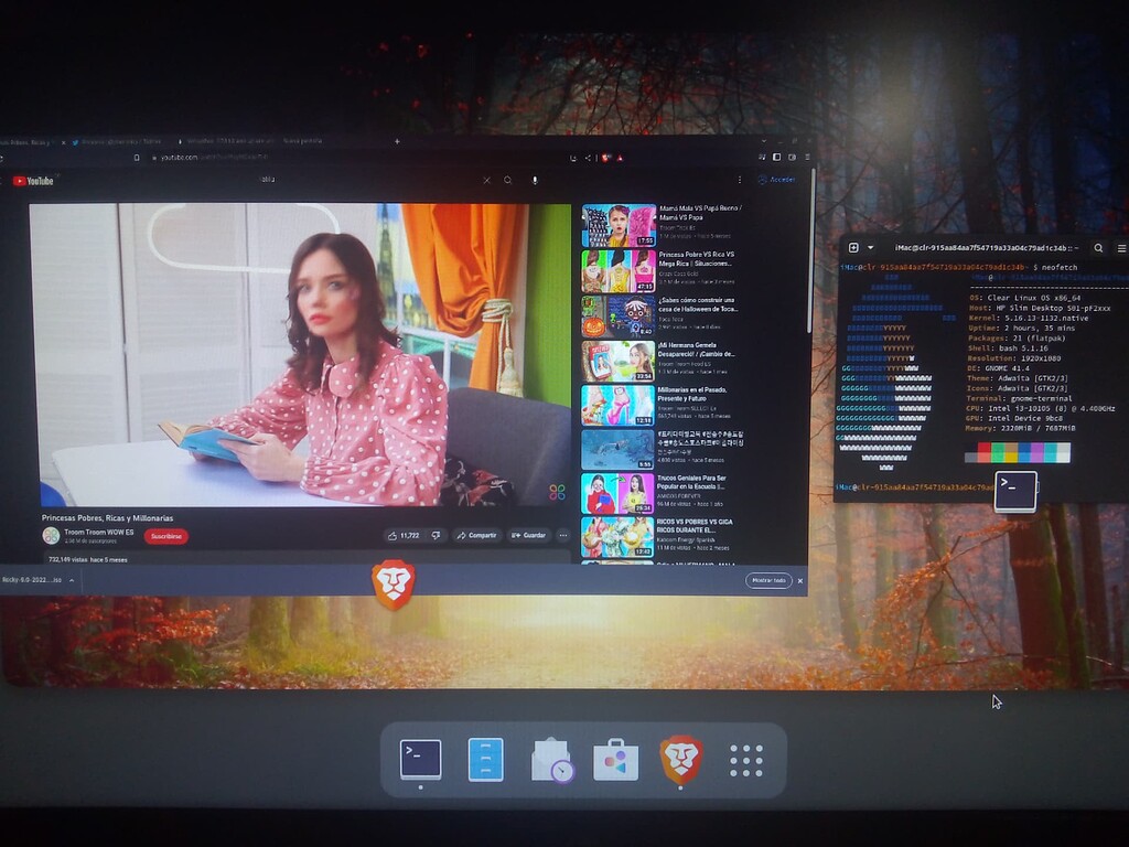 Nice 36010 and Brave Browser like - General Discussion - Clear Linux OS Forum