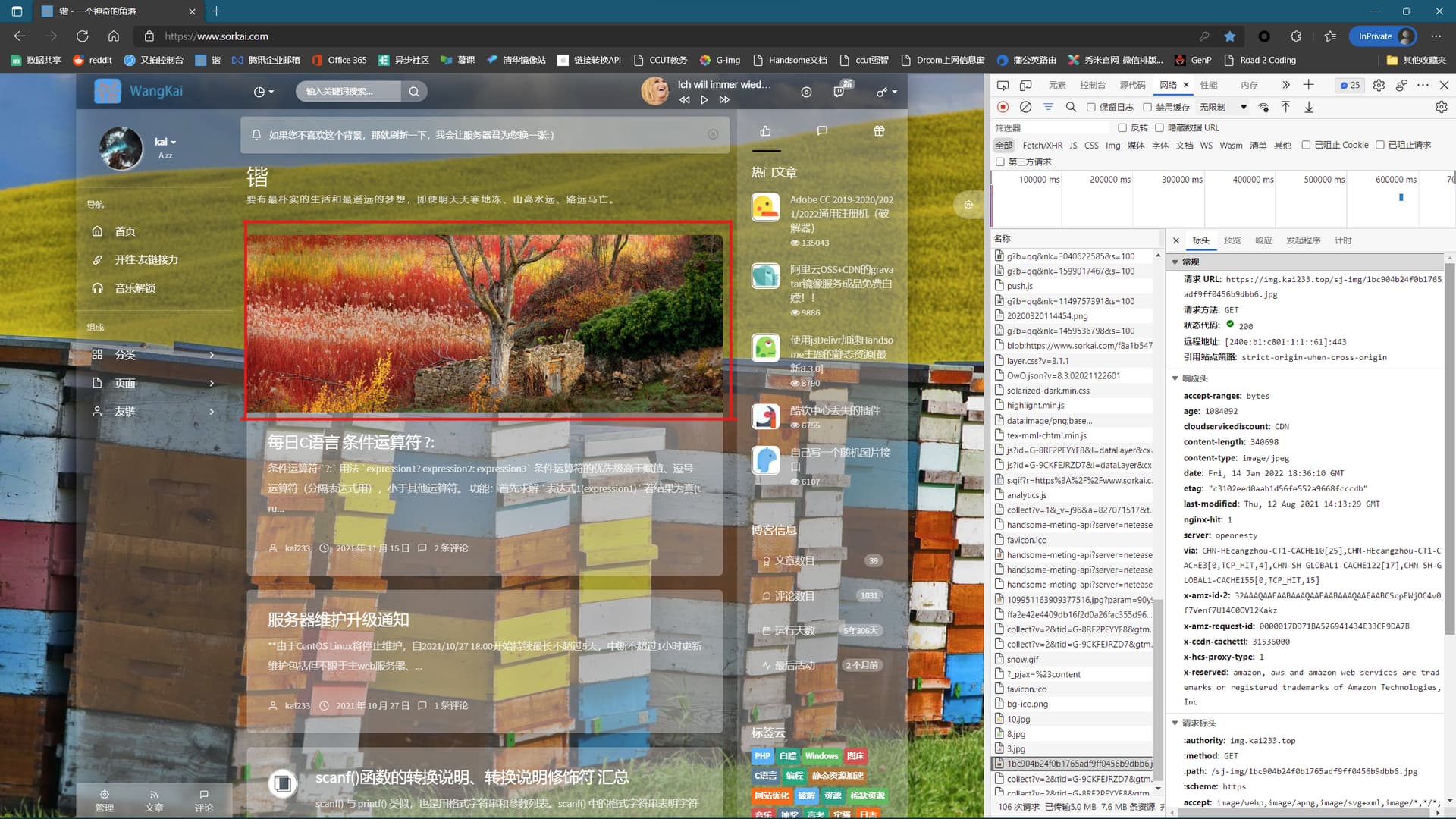 Some Pictures Cannot Be Displayed After Enabling Rocket Loader Website Application