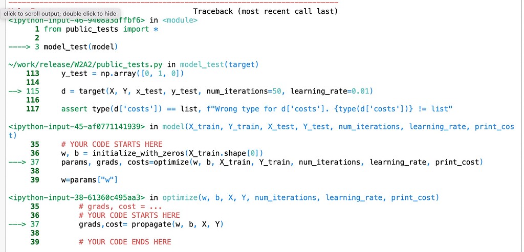 Week 2 Exercise 8 - Value Error - Neural Networks and Deep Learning - DeepLearning.AI