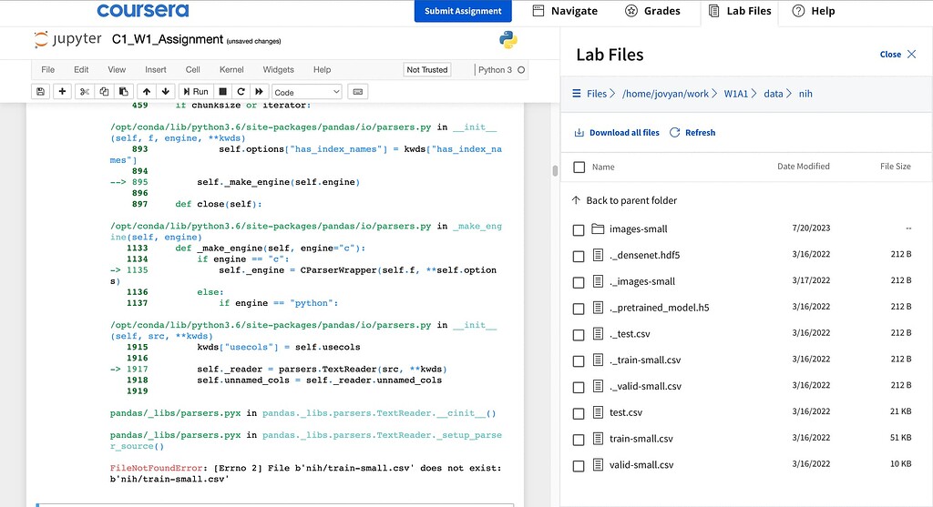 File b'nih/train-small.csv' does not exist: b'nih/train-small.csv' - AI ... File b'nih/train-small.csv' does not exist: b'nih/train-small.csv' - AI ...