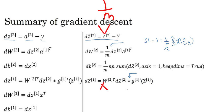The confusion in Backpropagation Intuition vedio(Neural Networks and Deep Learning) - Neural ...