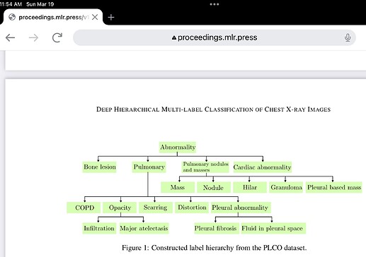 Image classification of radiography images - AI Discussions ...