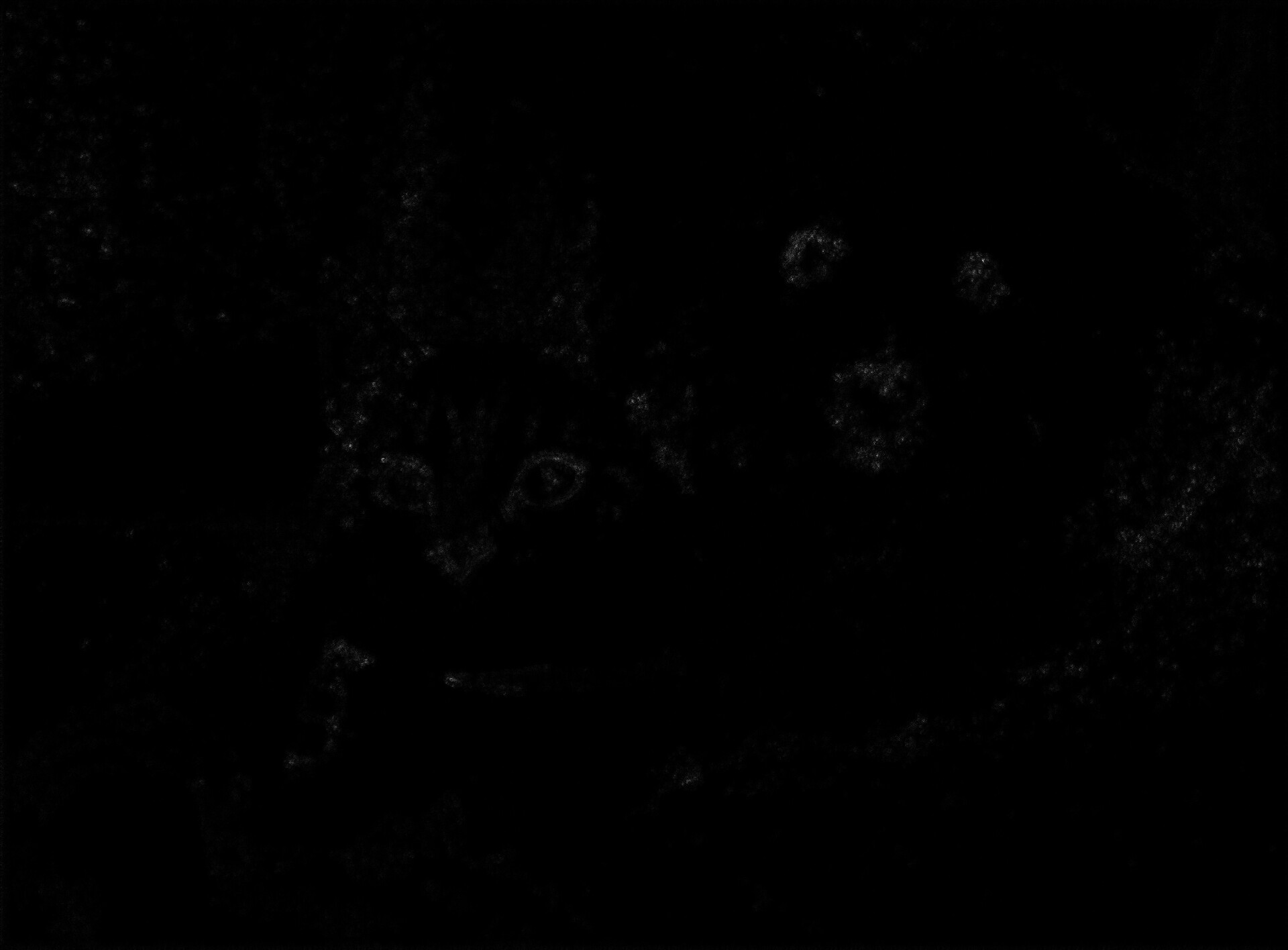 UFuncTypeError: Saliency Maps - Advanced Computer Vision with ...