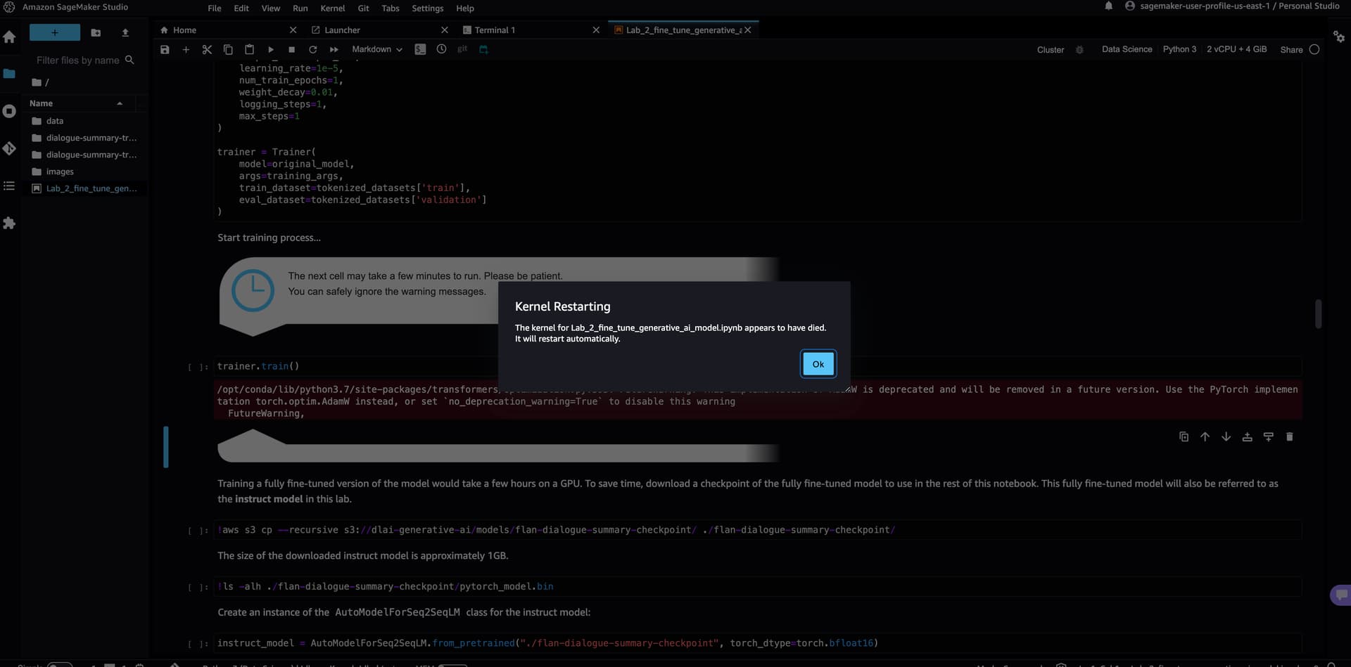 Lab2 : impossible to finish it. Encountering Kernel death - Generative AI with Large Language ...