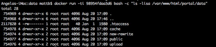 Entrypoint Chmod Compose Docker Community Forums 