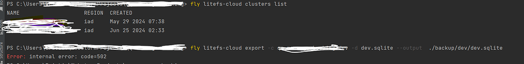 LiteFS clusters disappear - Questions / Help - Fly.io