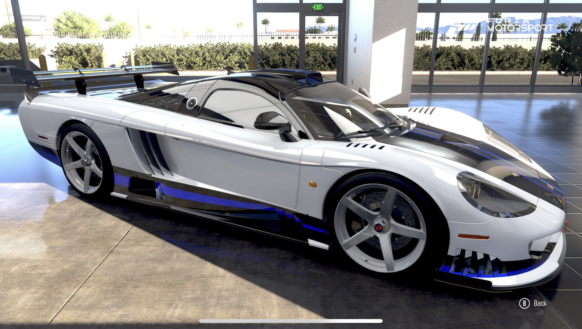 Why do the majority of people not choose custom liveries/paintjobs ...