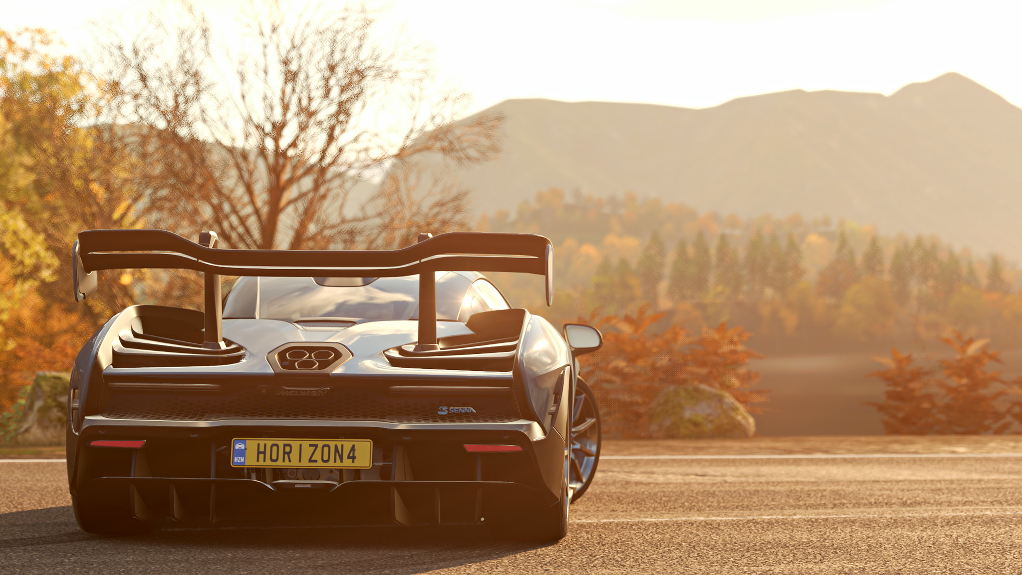 FH4 Demo Gallery (Animals, Cars, Landscapes) - Photography - Official ...