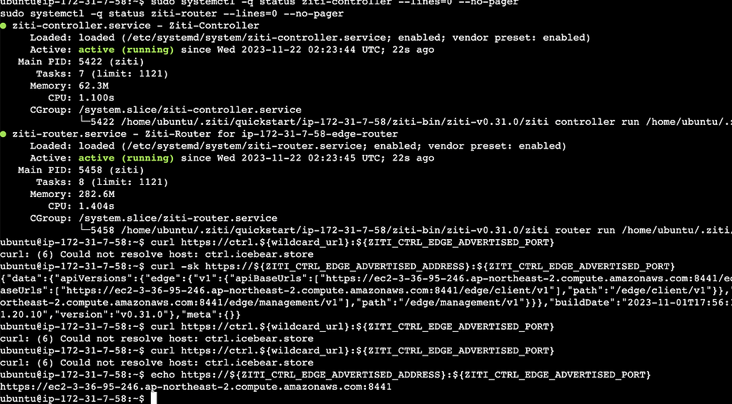 Curl: (6) Could not resolve host: ctrl - BrowZer - openziti