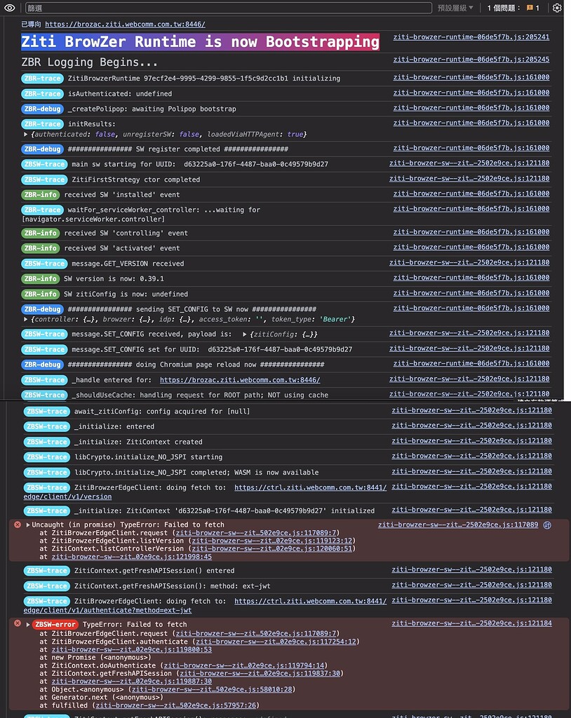 About BrowZer deployment - BrowZer - openziti