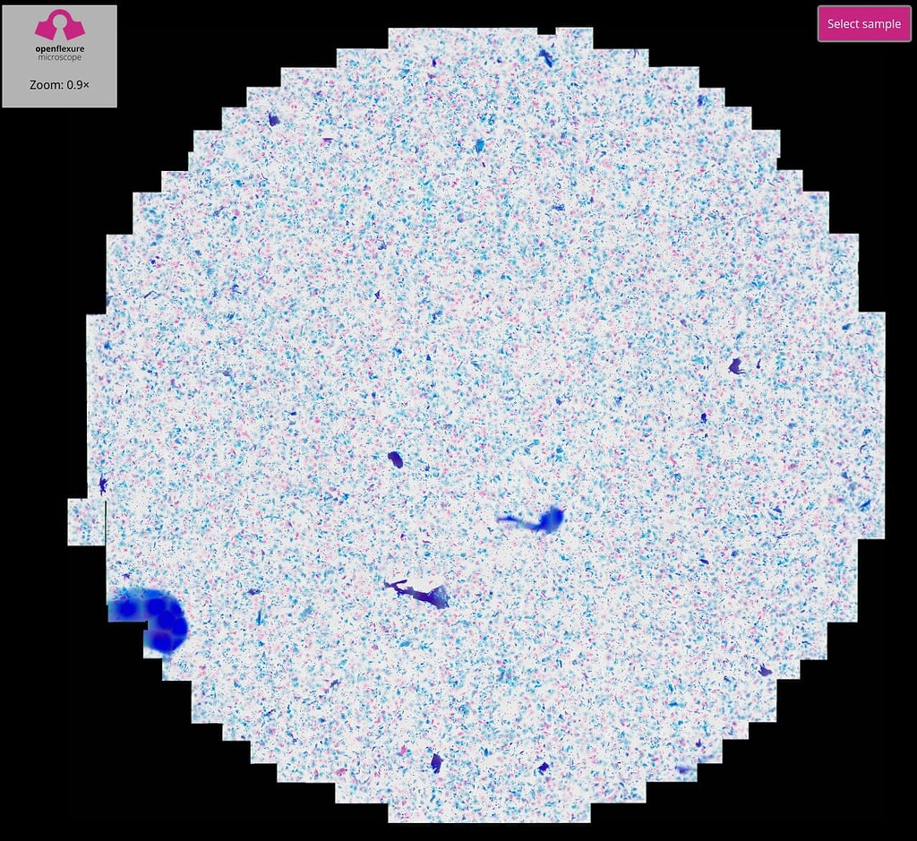 The OpenFlexure Viewer - General - OpenFlexure Forum