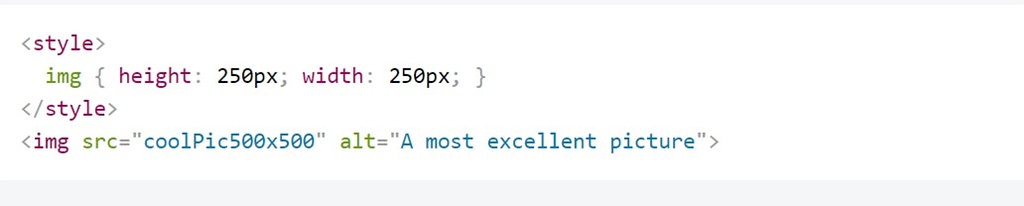 How to display the correctly? - HTML-CSS - The freeCodeCamp Forum