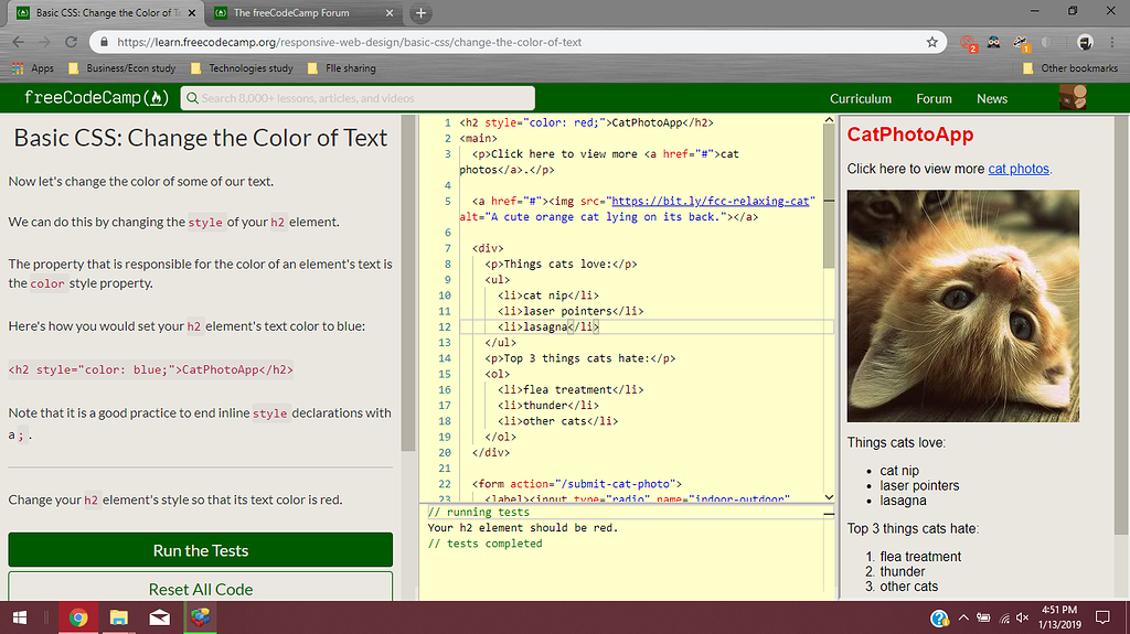 Tests not running properly - The freeCodeCamp Forum