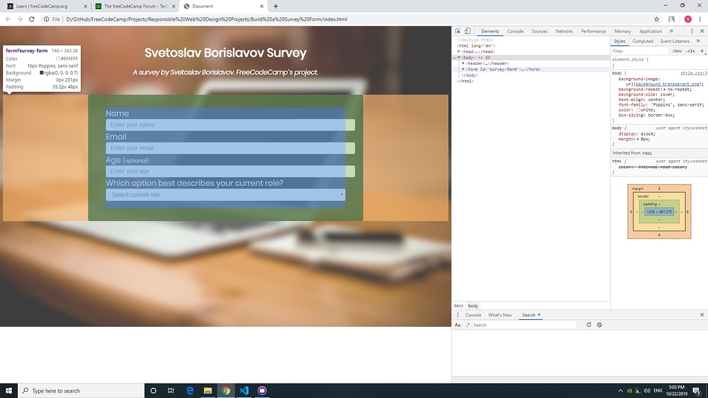Input element exceeds div - HTML-CSS - The freeCodeCamp Forum