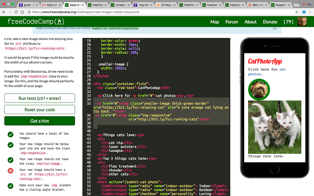 Freecodecamp Challenge Guide Make Images Mobile Responsive Guide The Freecodecamp Forum