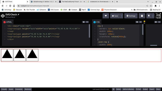 Change Size Of SVG To Conform To Polygon HTML CSS The FreeCodeCamp Forum