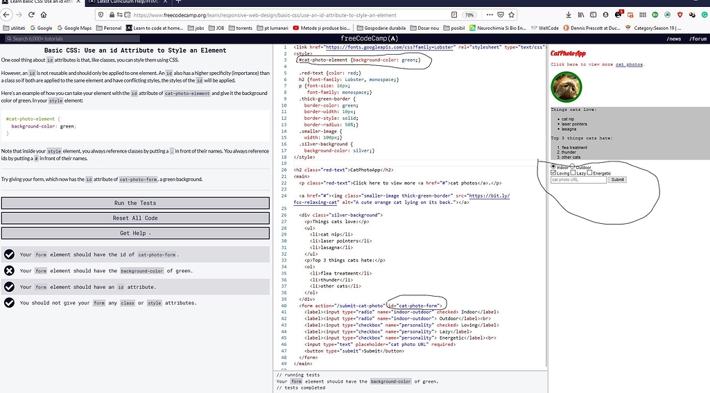 About Basic Css Use An Id Attribute To Style An Element Html Css 0538