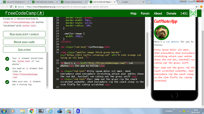 FreeCodeCamp Challenge Guide Link To External Pages With Anchor 