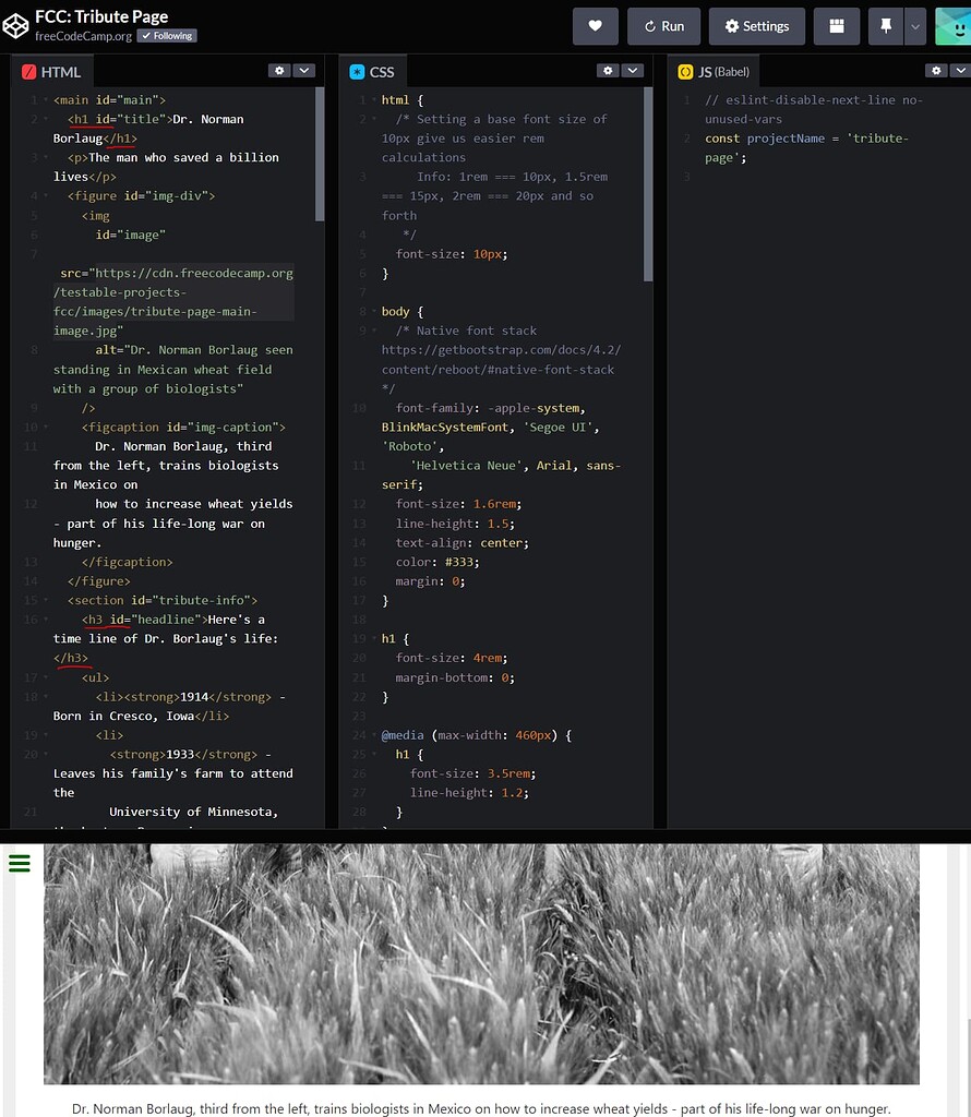 Headings to Show Hierarchical Relationships of Content in Tribute Page Example - HTML-CSS - The ...