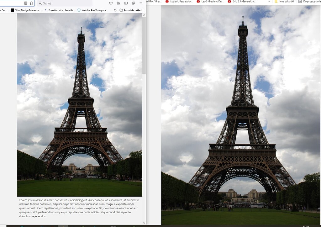 Problem with 100vh in Google Chrome - HTML-CSS - The freeCodeCamp Forum