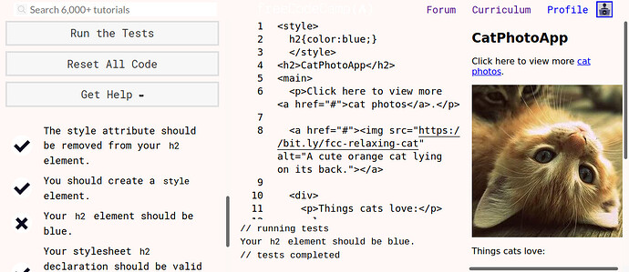 Basic Css Use Css Selectors To Style Elements Error Html Css The 8183
