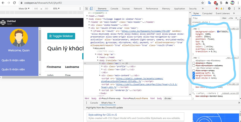 Weird css automatically added to the web - The freeCodeCamp Forum