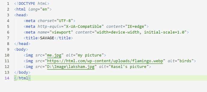 Problem With Image File Path HTML CSS The FreeCodeCamp Forum