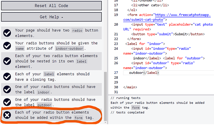 A Problem In Radio Buttons HTML HTML CSS The FreeCodeCamp Forum