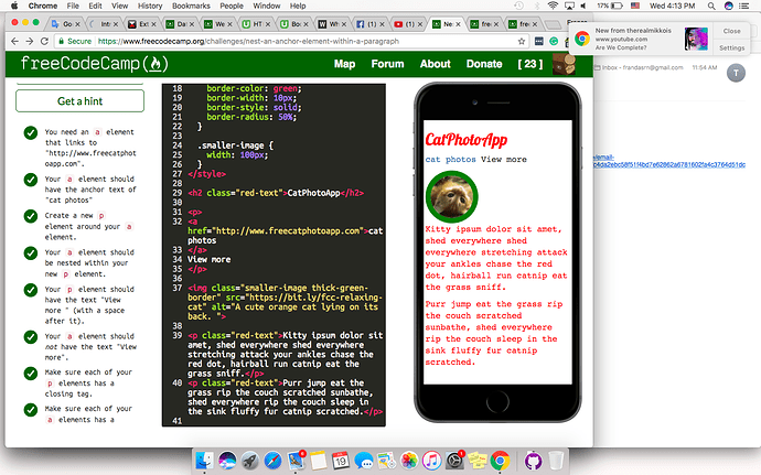 freeCodeCamp Challenge Guide: Nest an Anchor Element within a Paragraph ...