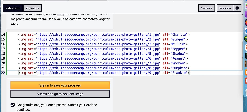Learn CSS Flexbox by Building a Photo Gallery - Step 24 - HTML-CSS - The freeCodeCamp Forum