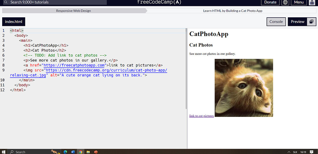 I Dont See The Task Freecodecamp Support The Freecodecamp Forum 7313