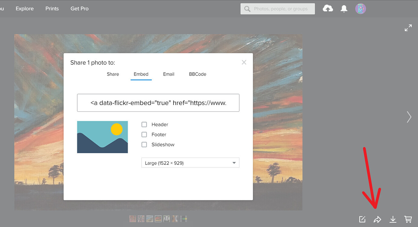 Embedding your own Images from Google Drive - HTML-CSS - The ...