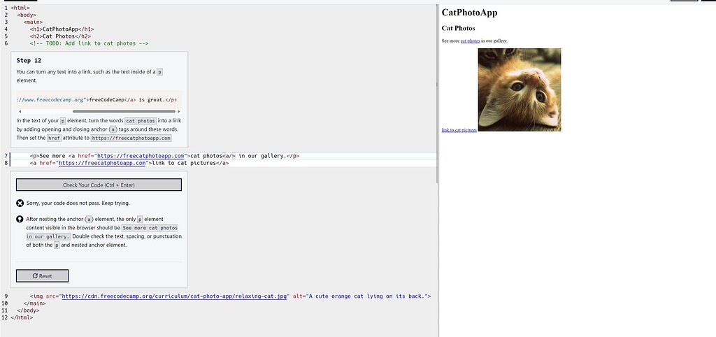 Learn HTML by Building a Cat Photo App - Step 12 - HTML-CSS - The ...