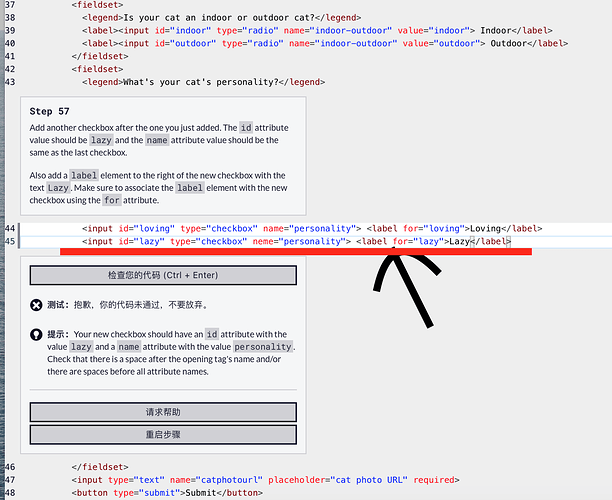  HTML Step 57 HTML CSS The FreeCodeCamp Forum