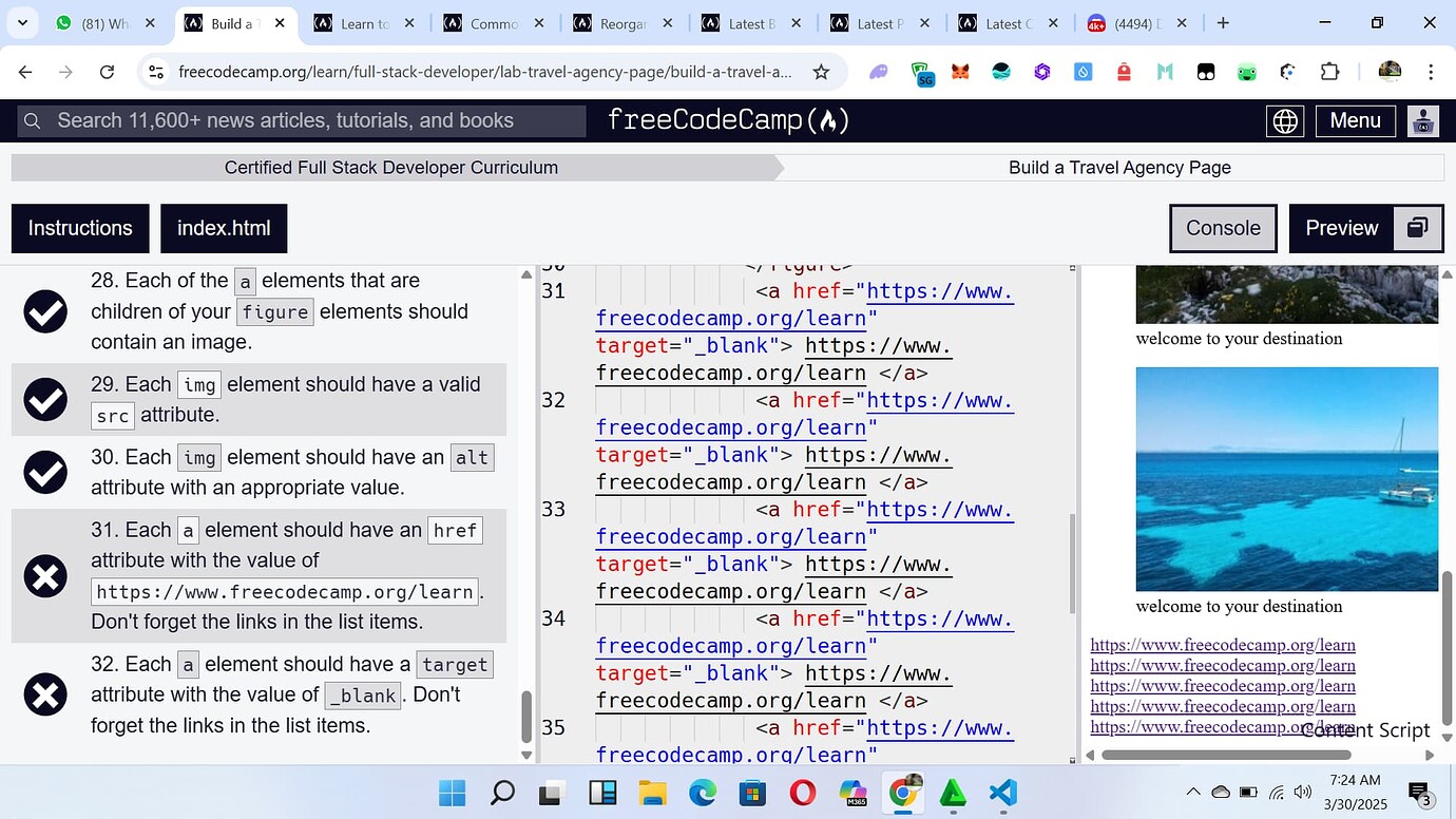 Reorganised Learning Path - The freeCodeCamp Forum