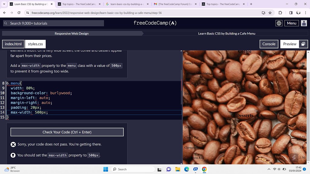 Hello, can someone hep me? i don't know where my mistake but i can't ...