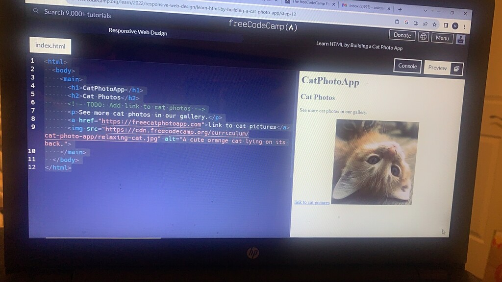 Lean HTML by Building Cat Photo App - Step 12 - HTML-CSS - The ...