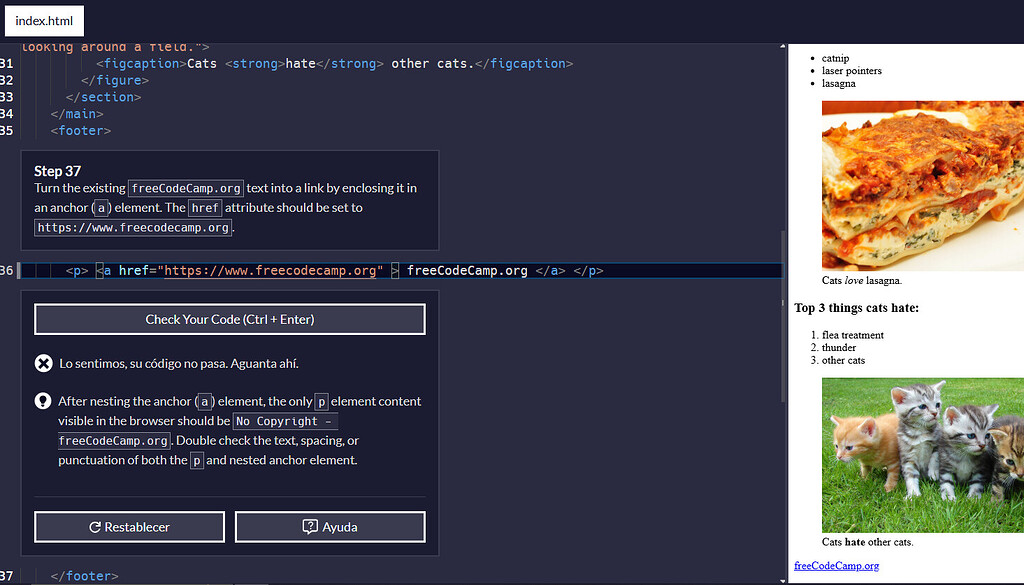 Build a Cat Photo App - Step 37 - HTML-CSS - The freeCodeCamp Forum