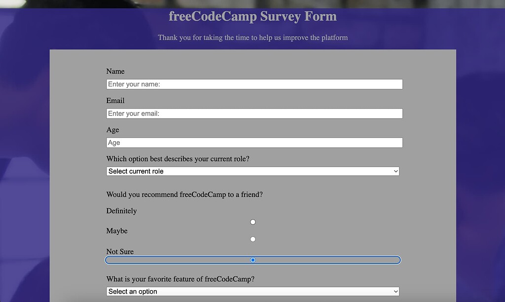 Survey Form Project Final Html Css The Freecodecamp Forum 7087