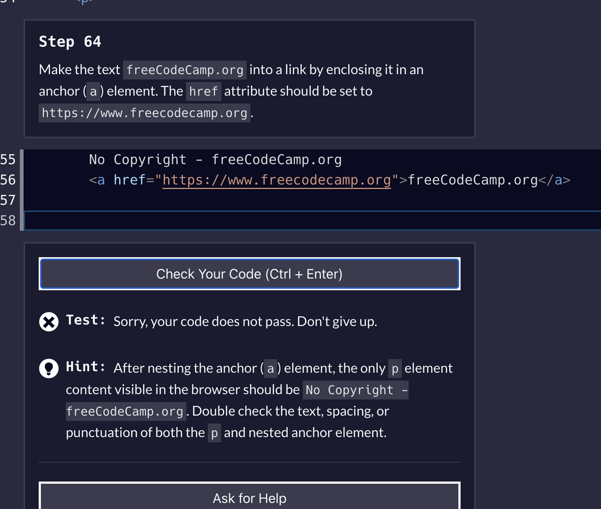Learn HTML By Building A Cat Photo App Step 64 HTML CSS The