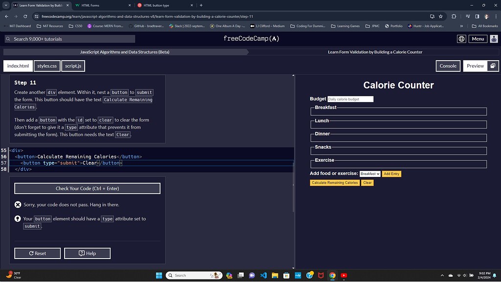 Learn Form Validation By Building A Calorie Counter Step 11 Javascript The Freecodecamp Forum 4785
