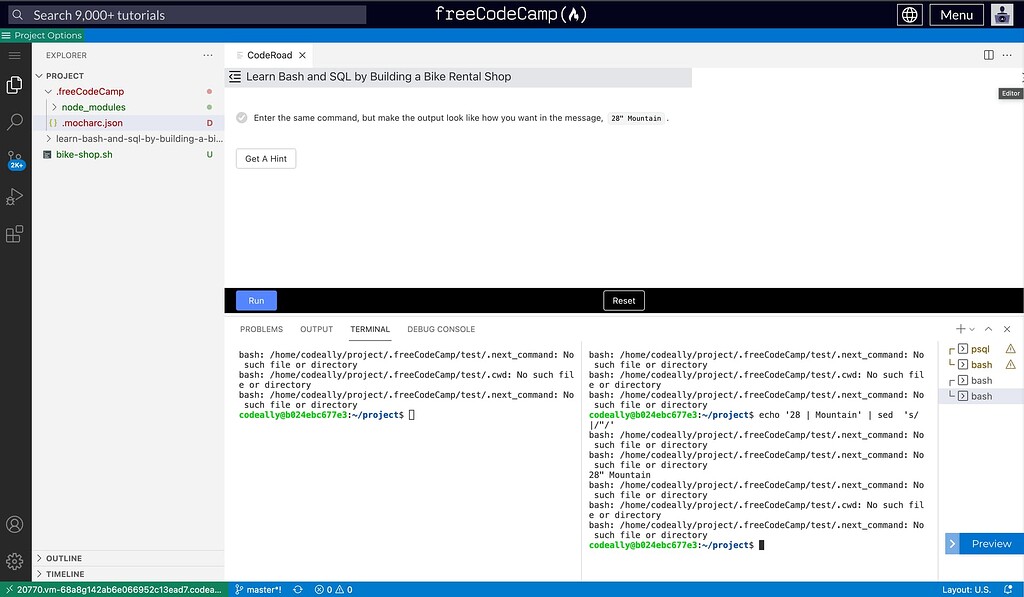 Terminal is not working - Relational Database - freeCodeCamp Support - The freeCodeCamp Forum